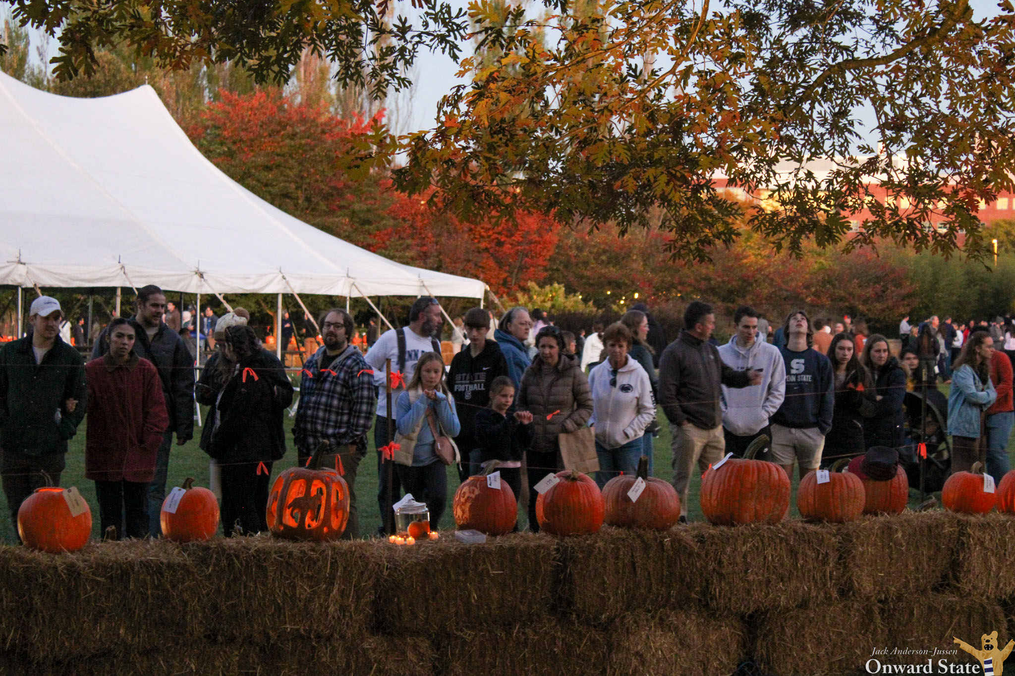 Penn State Arboretum To Host Pumpkin Fest October 17 & 18 | Onward State