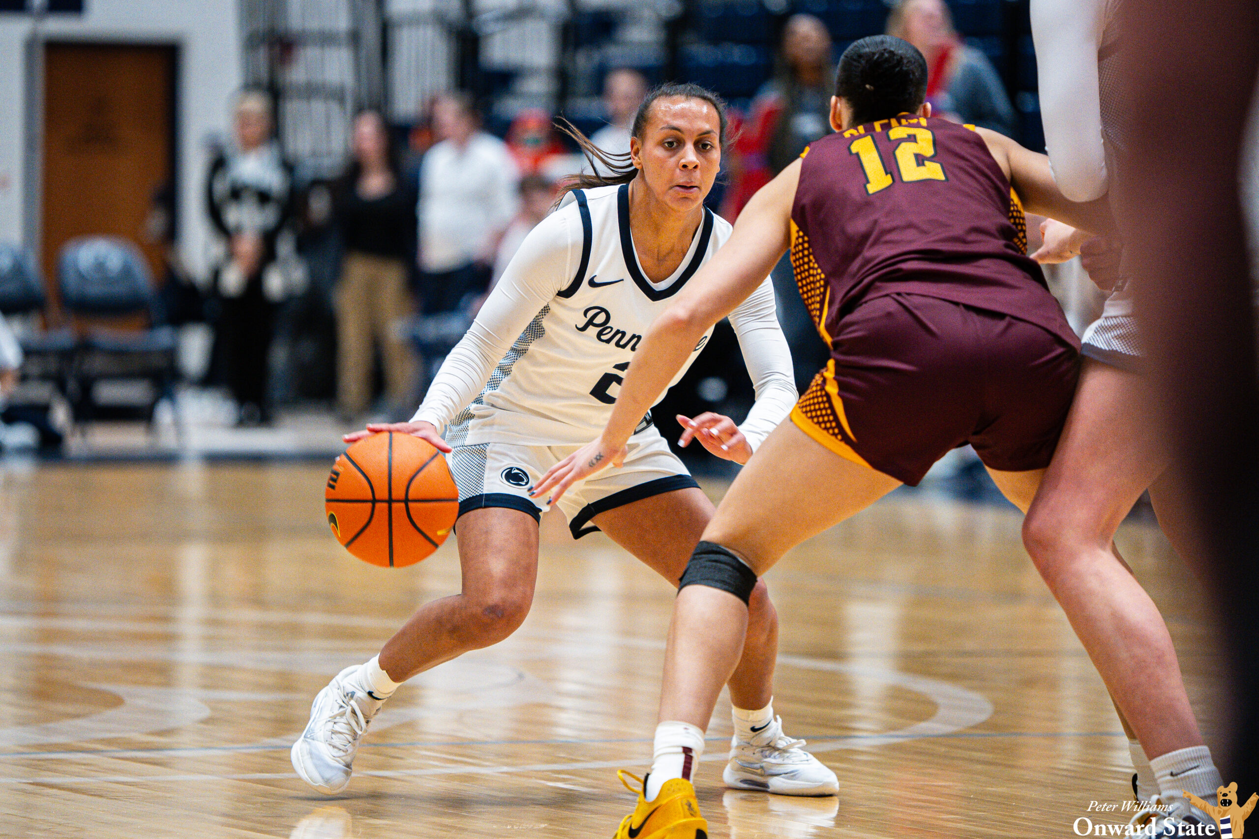 Lady Lions Fall To Minnesota 87-66 | Onward State